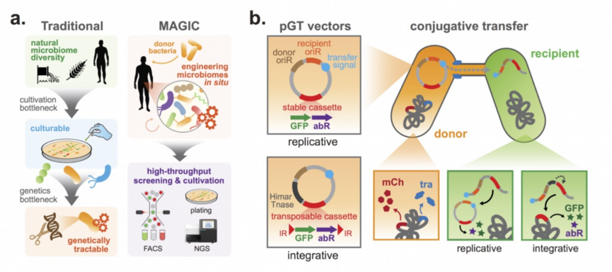 What is Synthetic Biology? - AiOps Redefined!!!